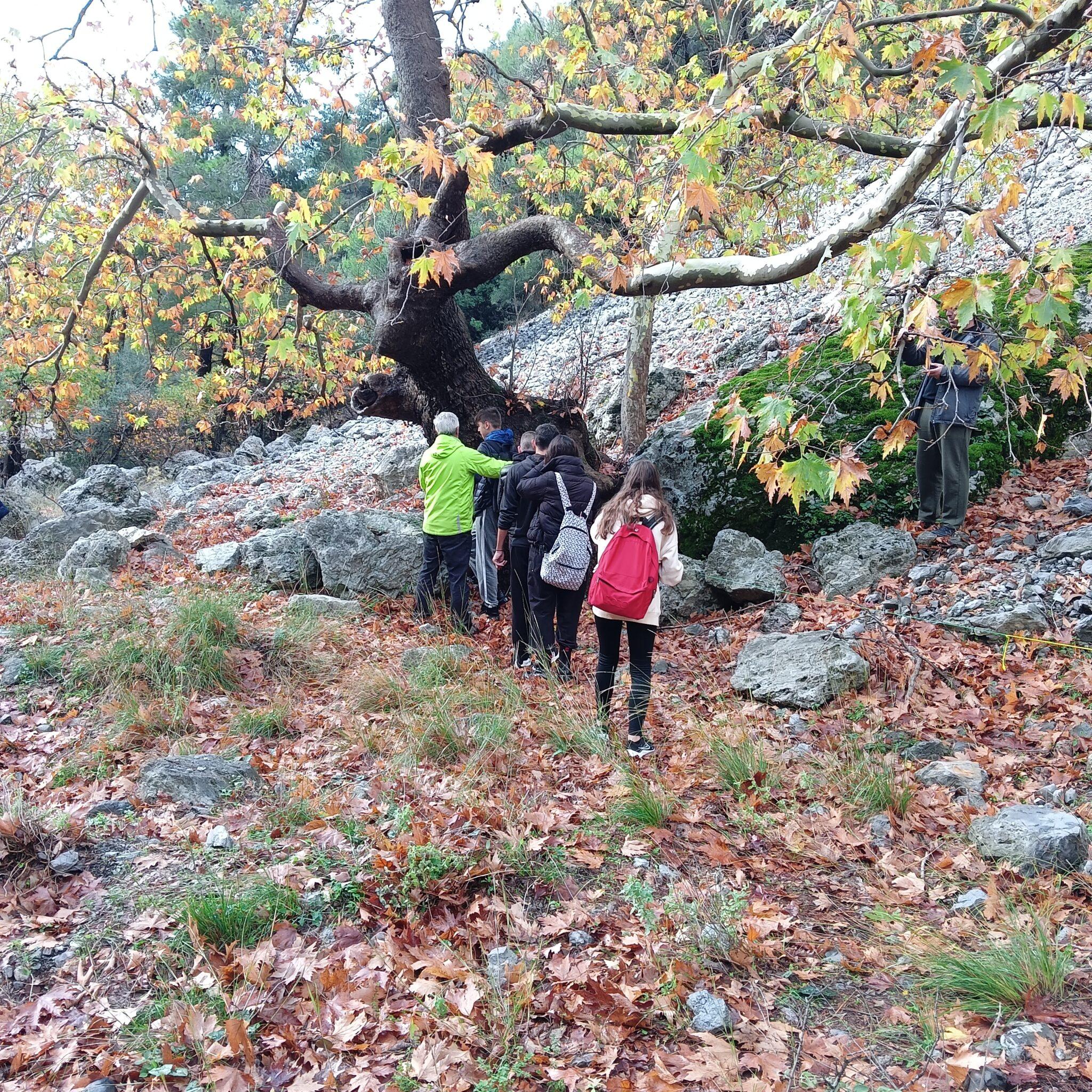 ΕΝΑΡΞΗ ΛΕΙΤΟΥΡΓΙΑΣ ΚΕΝΤΡΟΥ ΠΕΡΙΒΑΛΛΟΝΤΙΚΗΣ ΕΚΠΑΙΔΕΥΣΗΣ ΔΙΡΦΥΩΝ ...