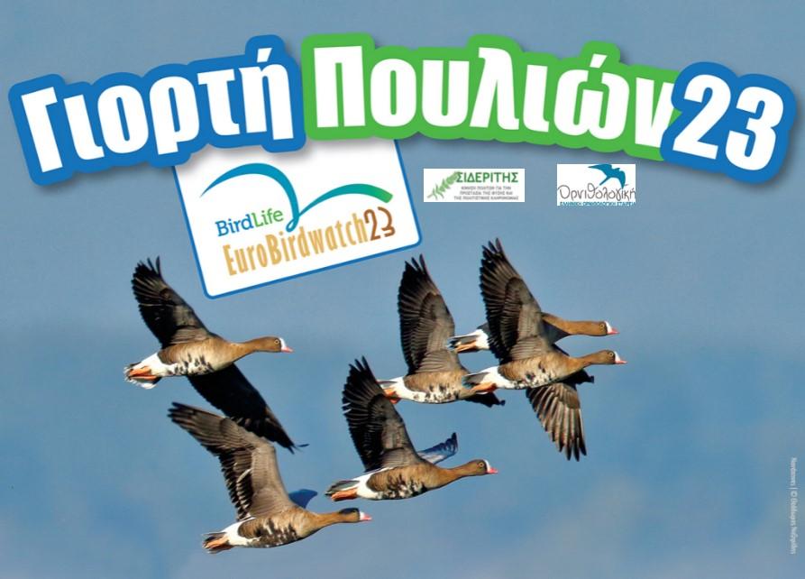 Η ΓΙΟΡΤΗ ΤΩΝ ΠΟΥΛΙΩΝ ΣΤΗ ΧΑΛΚΙΔΑ - EVIATIME